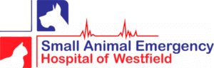 Home | Small Animal Emergency Hospital of Westfield